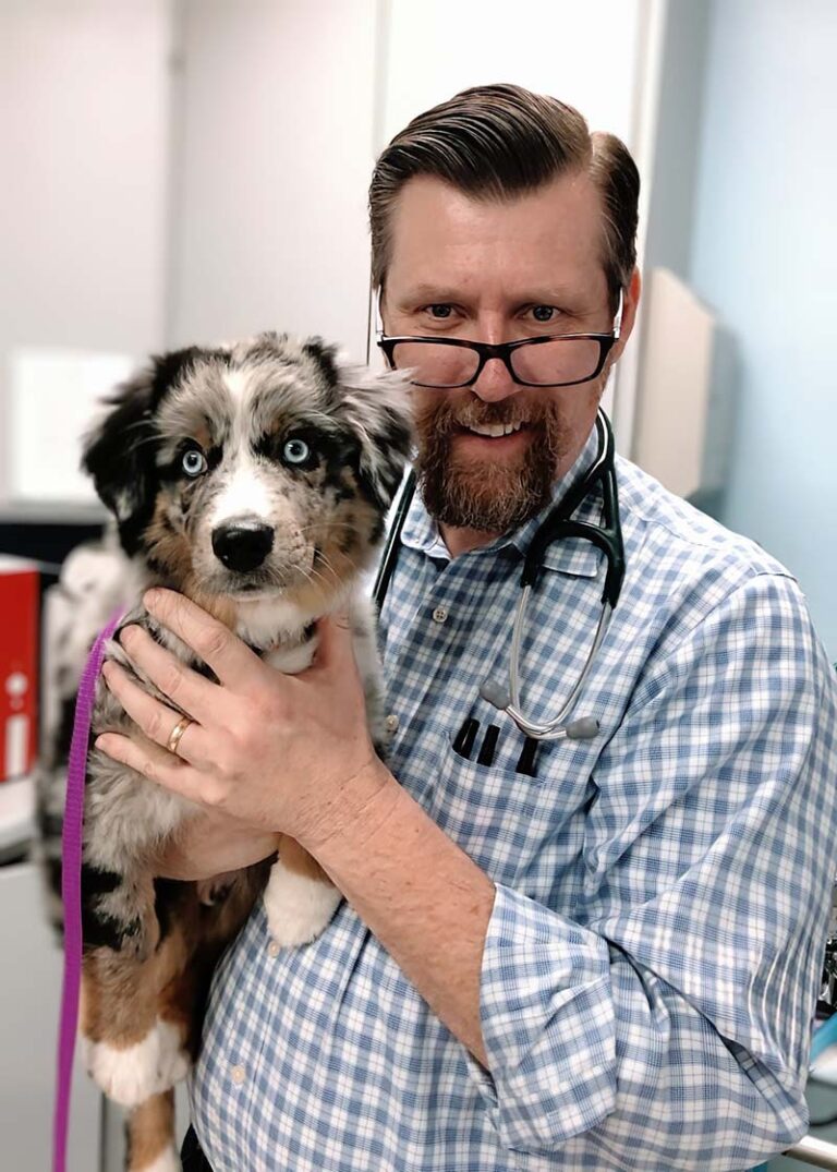 Veterinarians - Mercy Veterinary Hospital